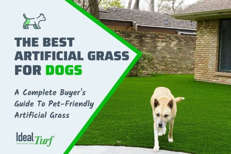 Best Artificial Grass for Dogs: A Complete Buyer’s Guide