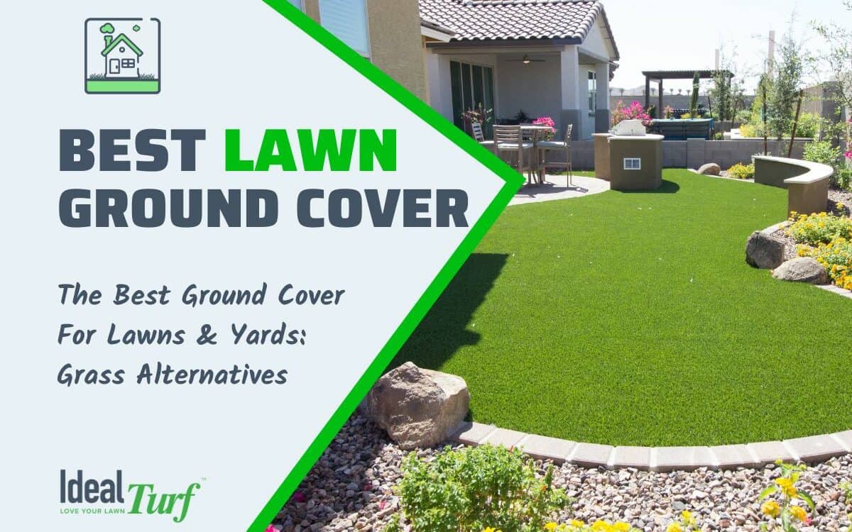 10 Drought-Tolerant Ground Covers That Can Withstand The Sun