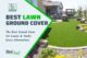 The Best Lawn Ground Cover Options: Grass Alternatives