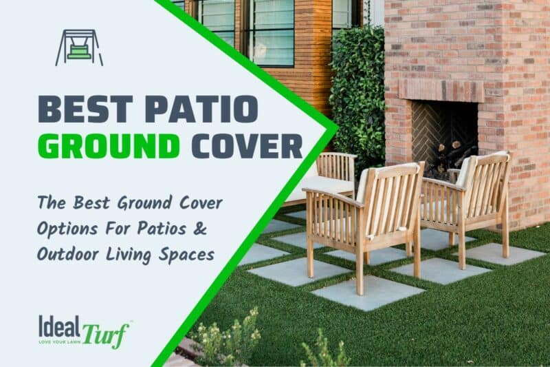 The Best Patio Ground Cover Options You Should Consider